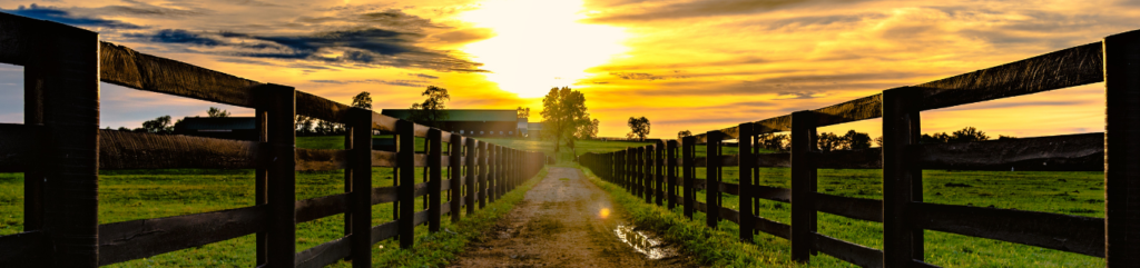 Vision Correction Options for Patients over 50 | Commonwealth Eye Surgery